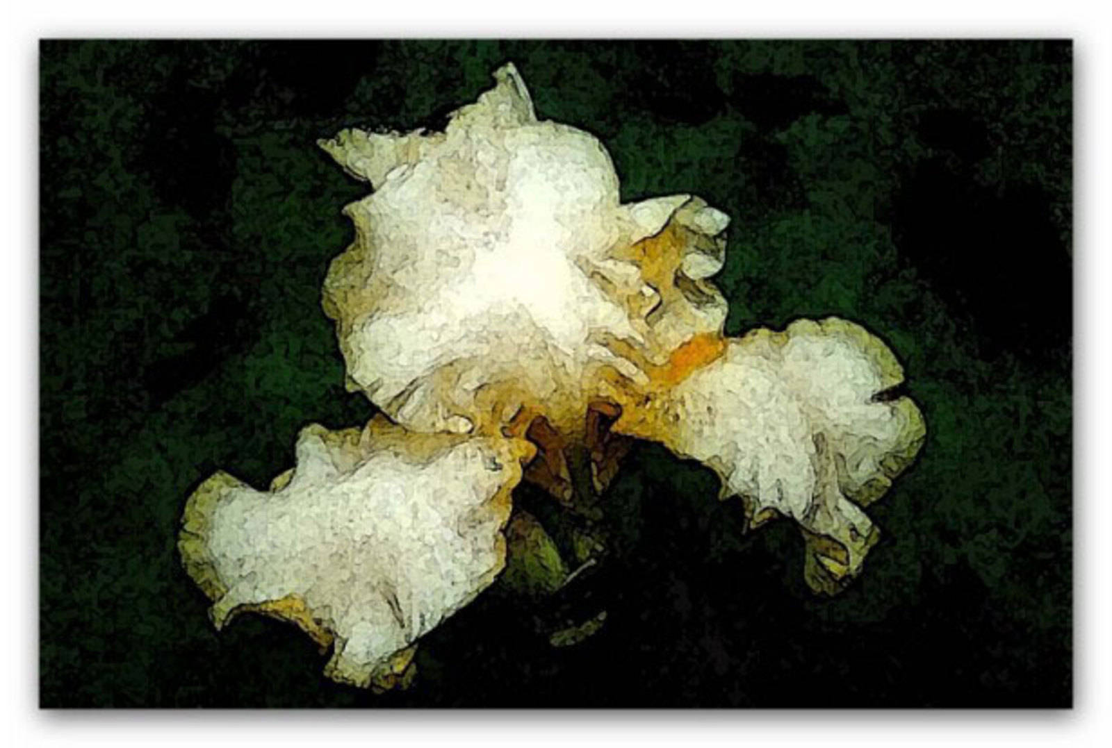 Conoce el asombroso arte de artistas con discapacidad | Juntos AC